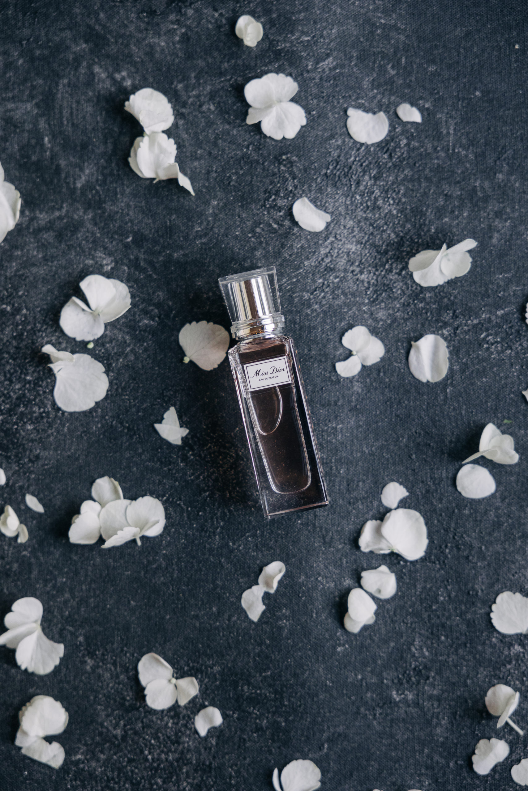 The Malanoskis | heathercrousephotos.com