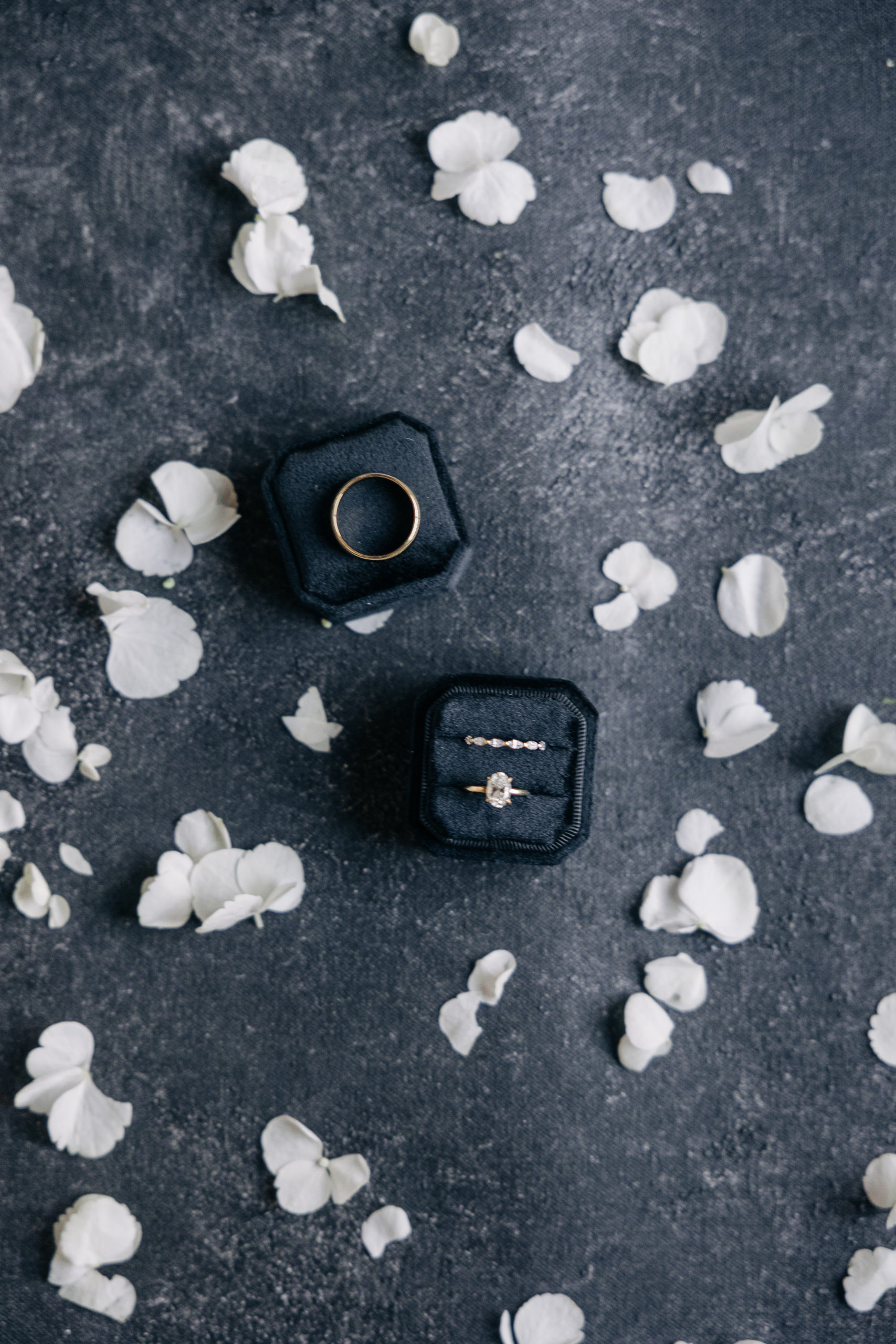 The Malanoskis | heathercrousephotos.com